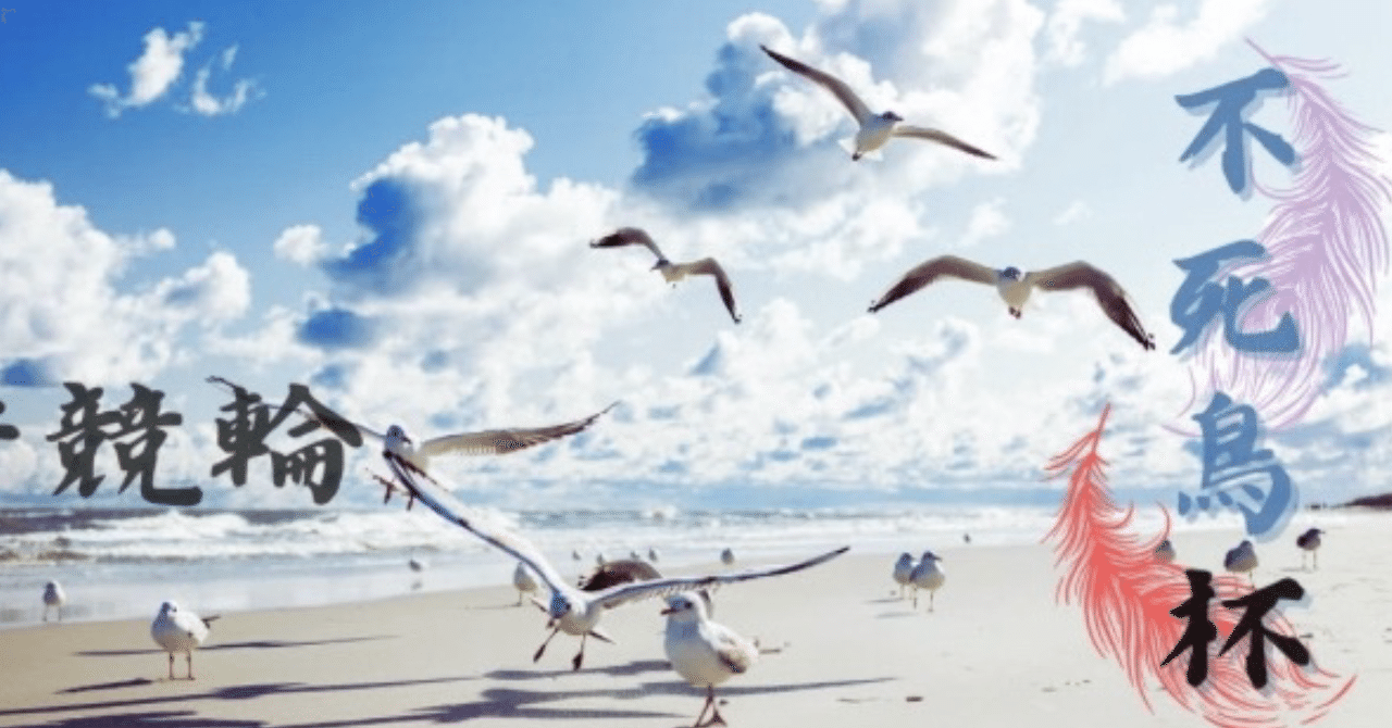 🧡福井8R14:05🧡｜玲藍