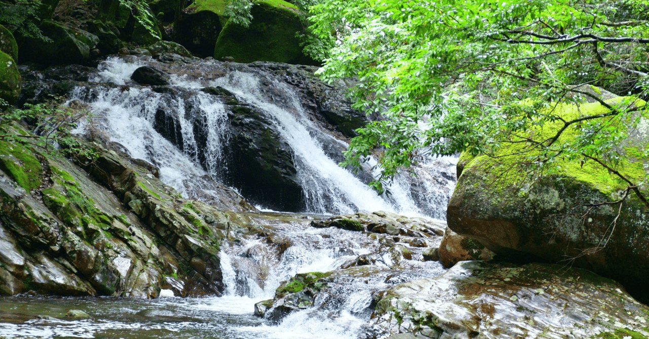 kuronekomarimo｜note