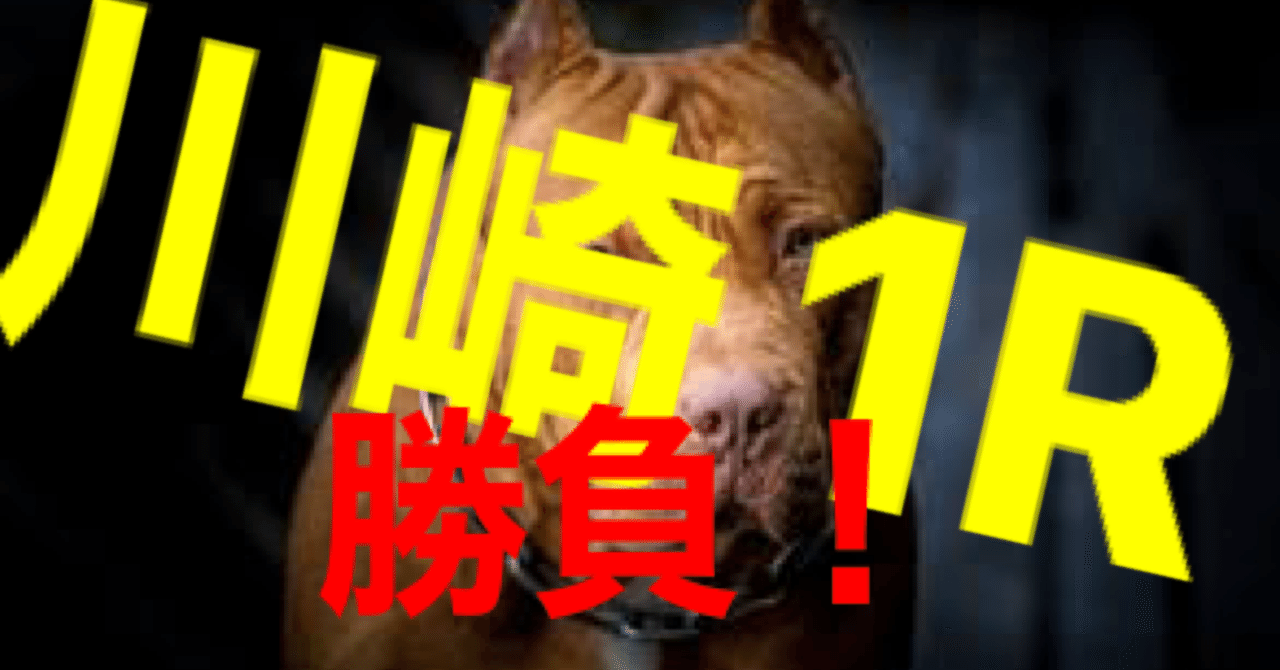 川崎1R勝負！｜パドック師匠【PD master】公式🌐