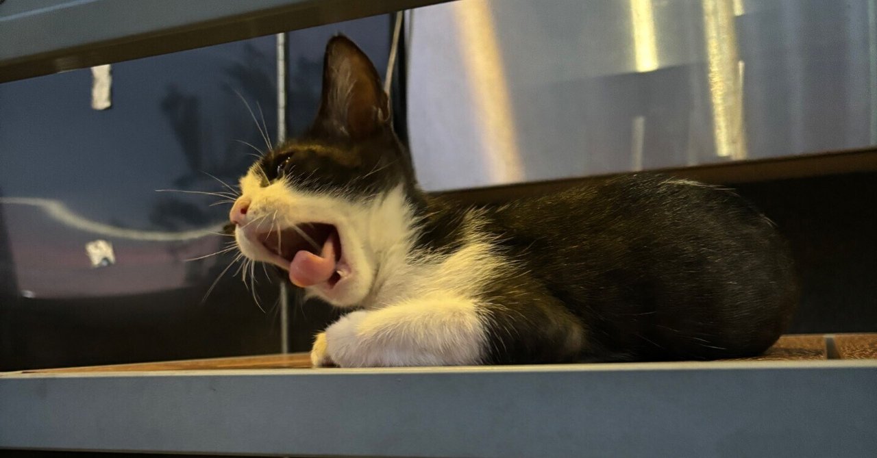 アメリカについて思ふ｜汪海妹