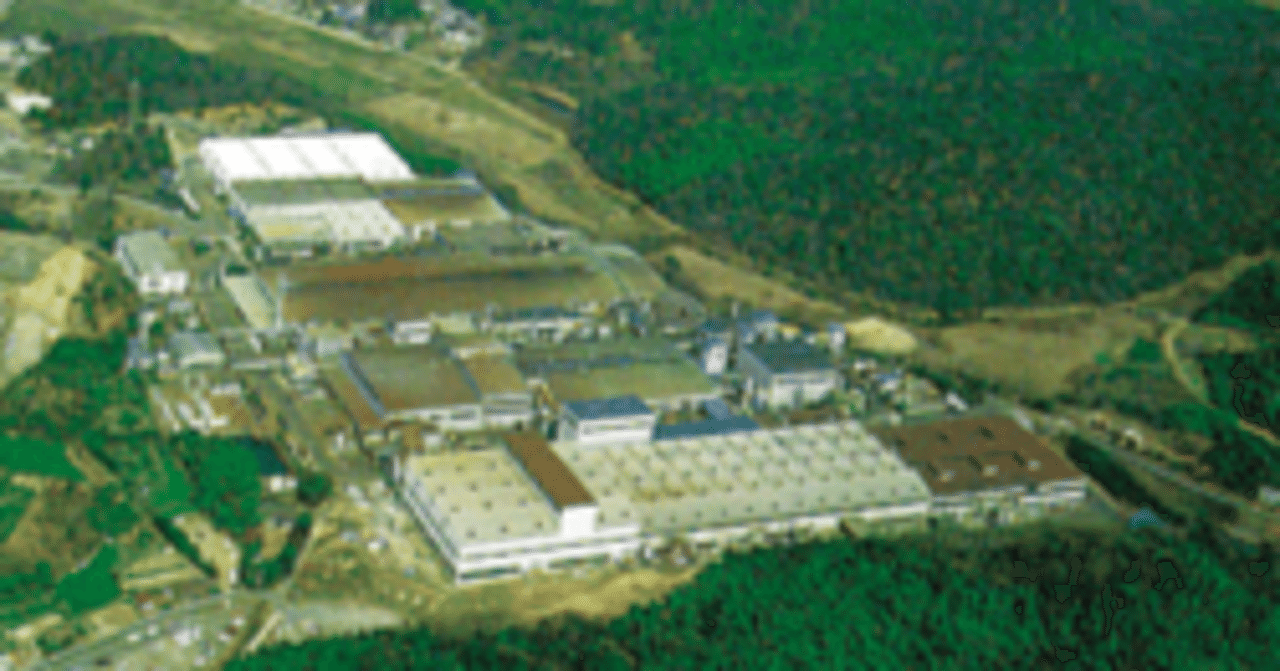 過去を振り返って（社会人）｜kouhei taniguchi