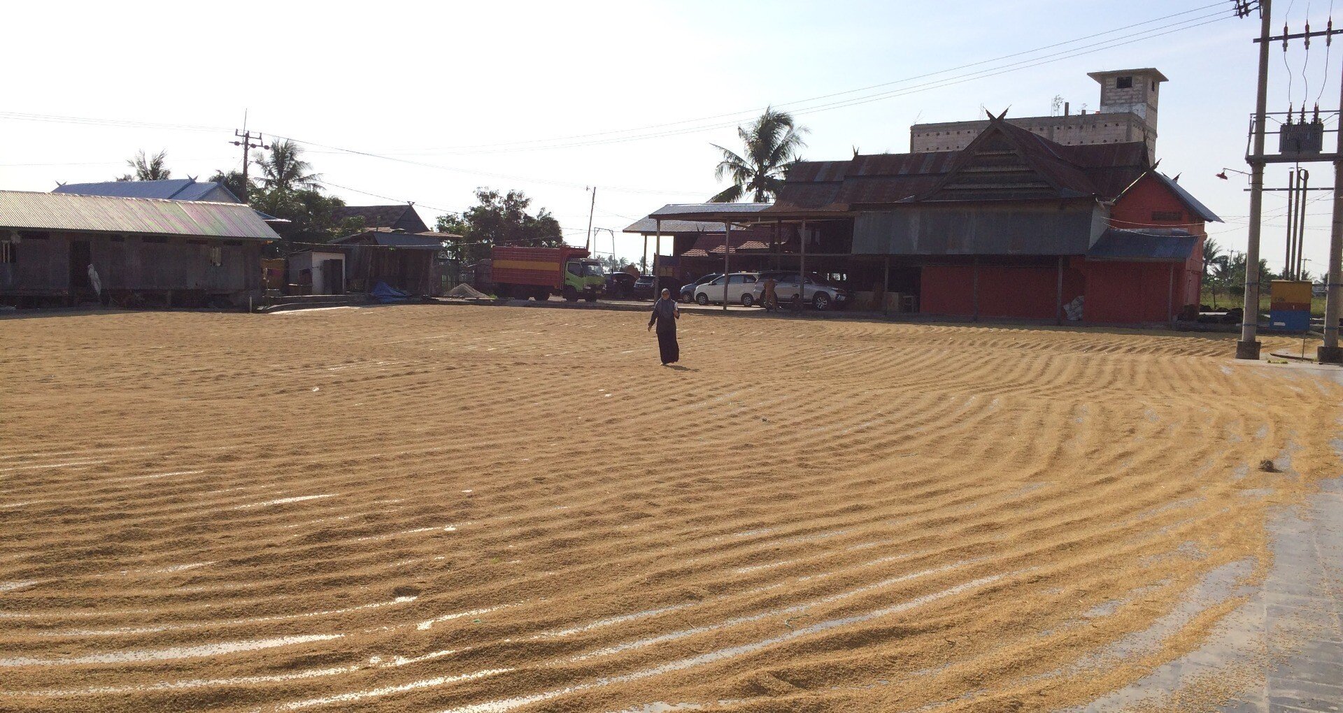 よりどりインドネシア第170号（2024年7月23日発行）｜Matsui-Glocal｜note