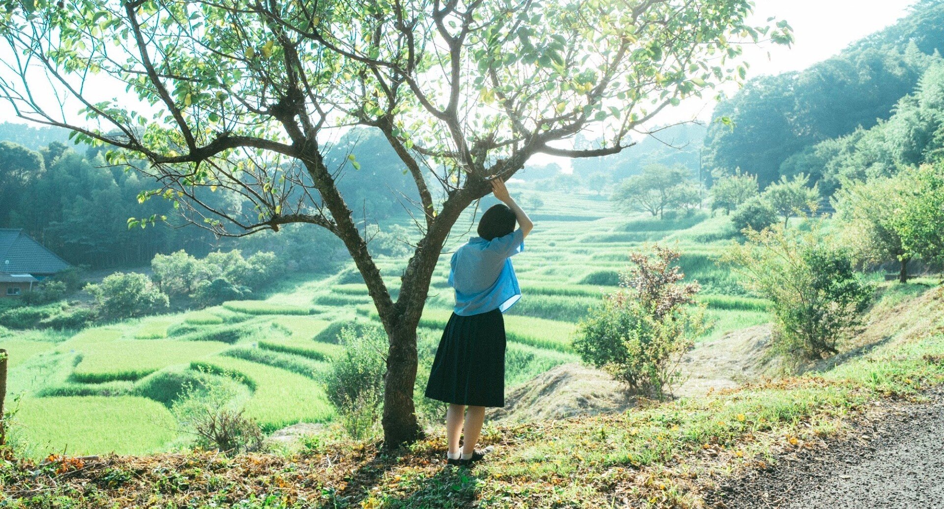 Daily Light Archives｜Yukihiro Nakamura｜note