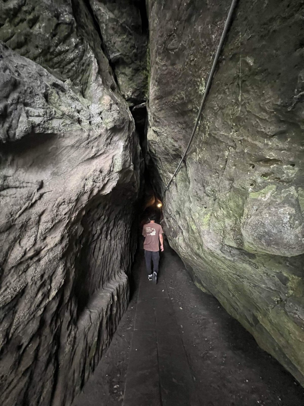 音、周波数、振動、情報｜宇宙神話縄文