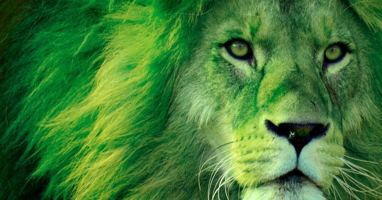 ライオンズゲート🦁｜Yuka