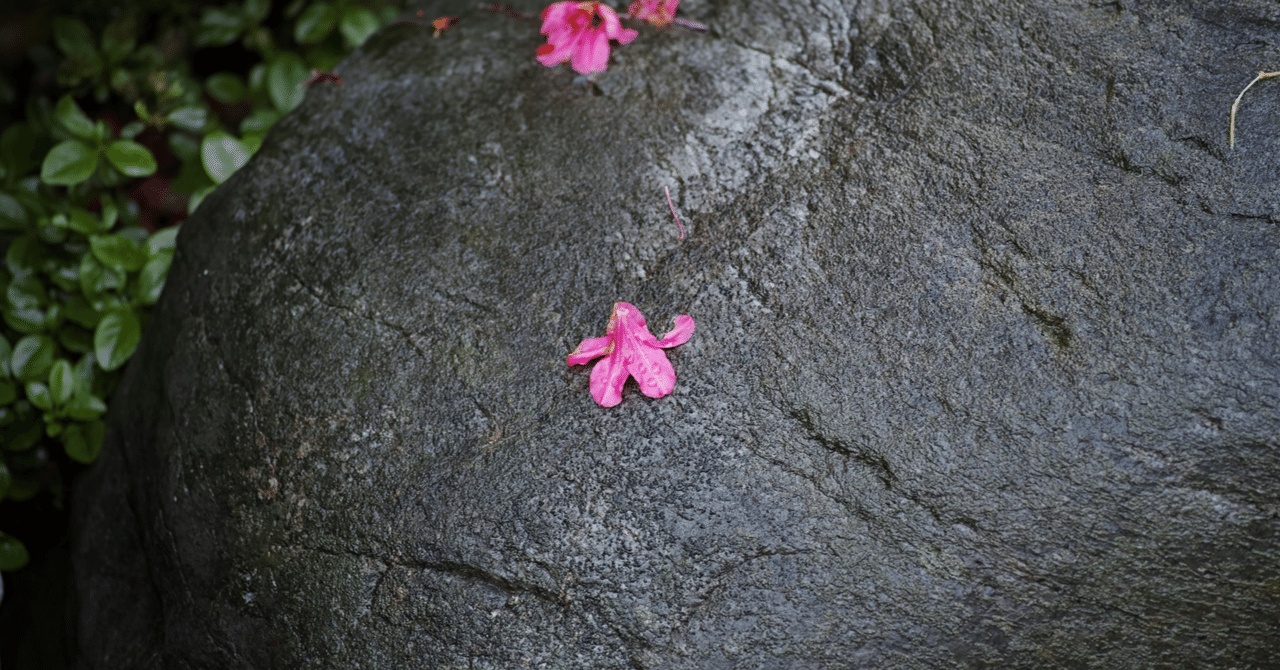 Ryosuke Matsusima｜note