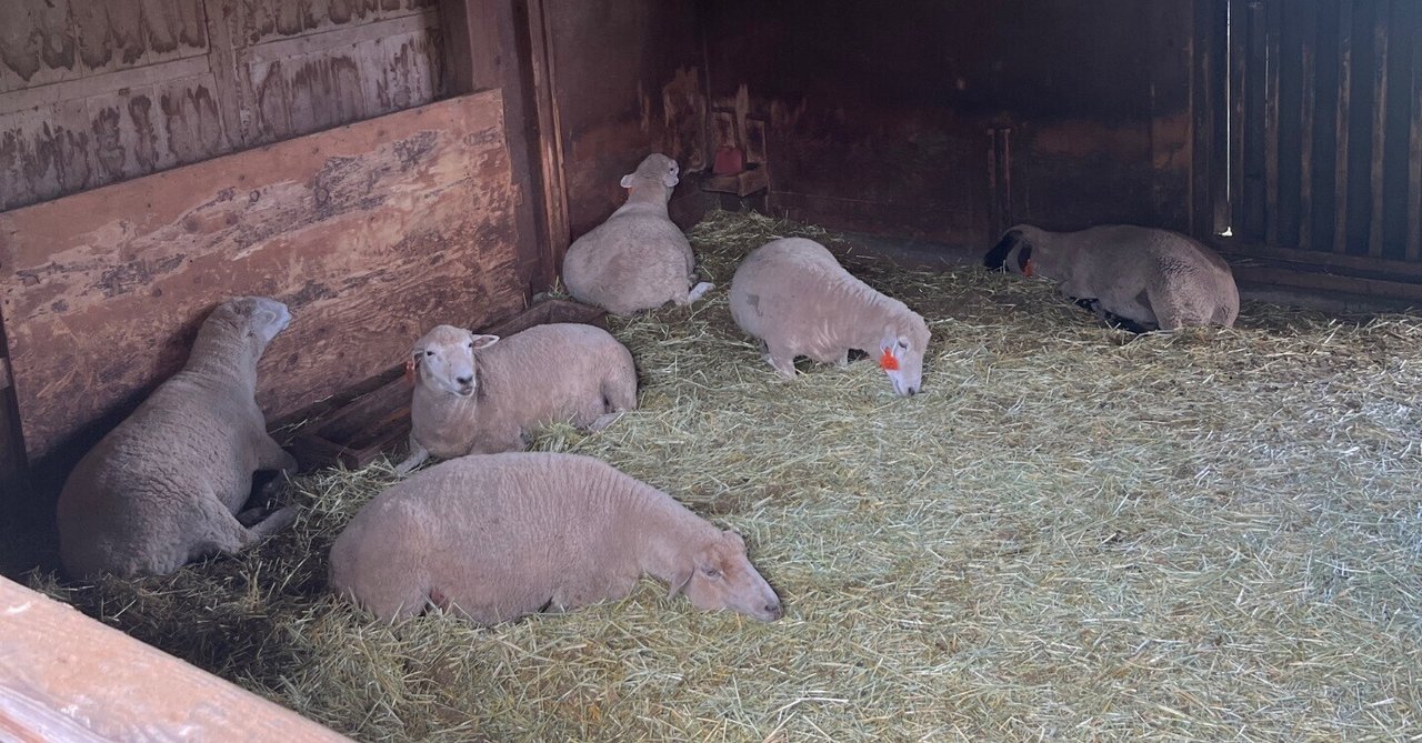 運の悪い人と良い人の違い｜ysd