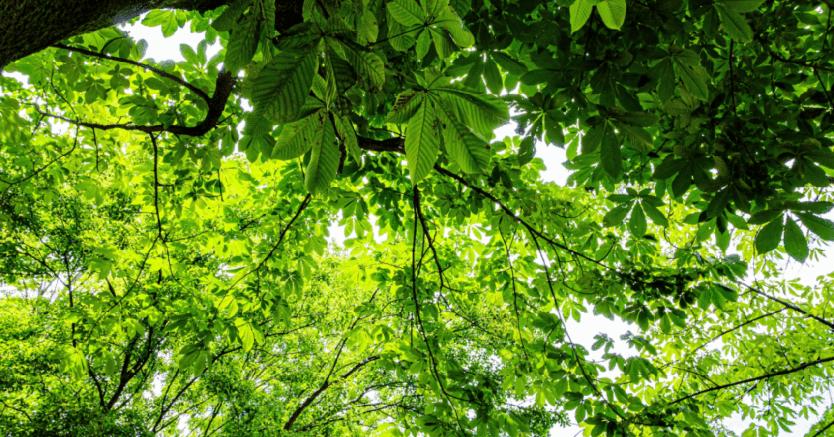 Ryosuke Matsusima｜note