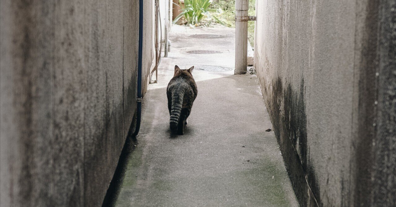 ネタの提供たくさんありがとうございます｜Uchida_0831