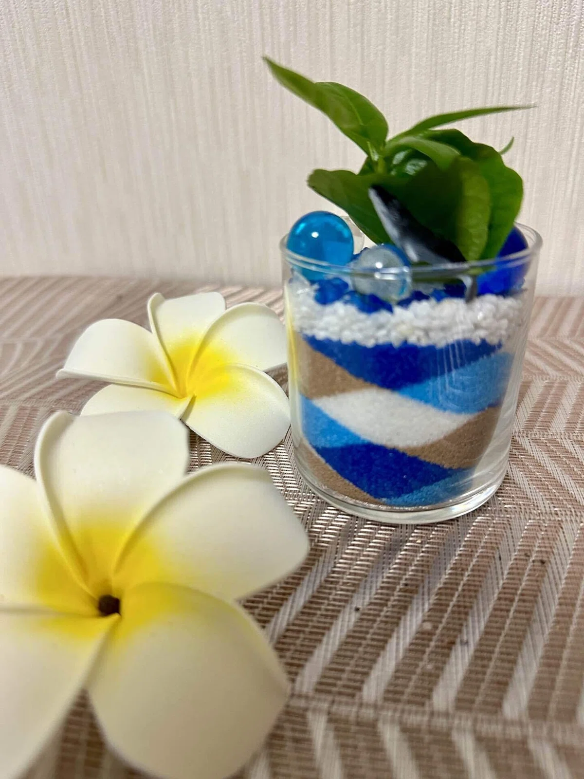 今日の楽しみ方｜CoYou