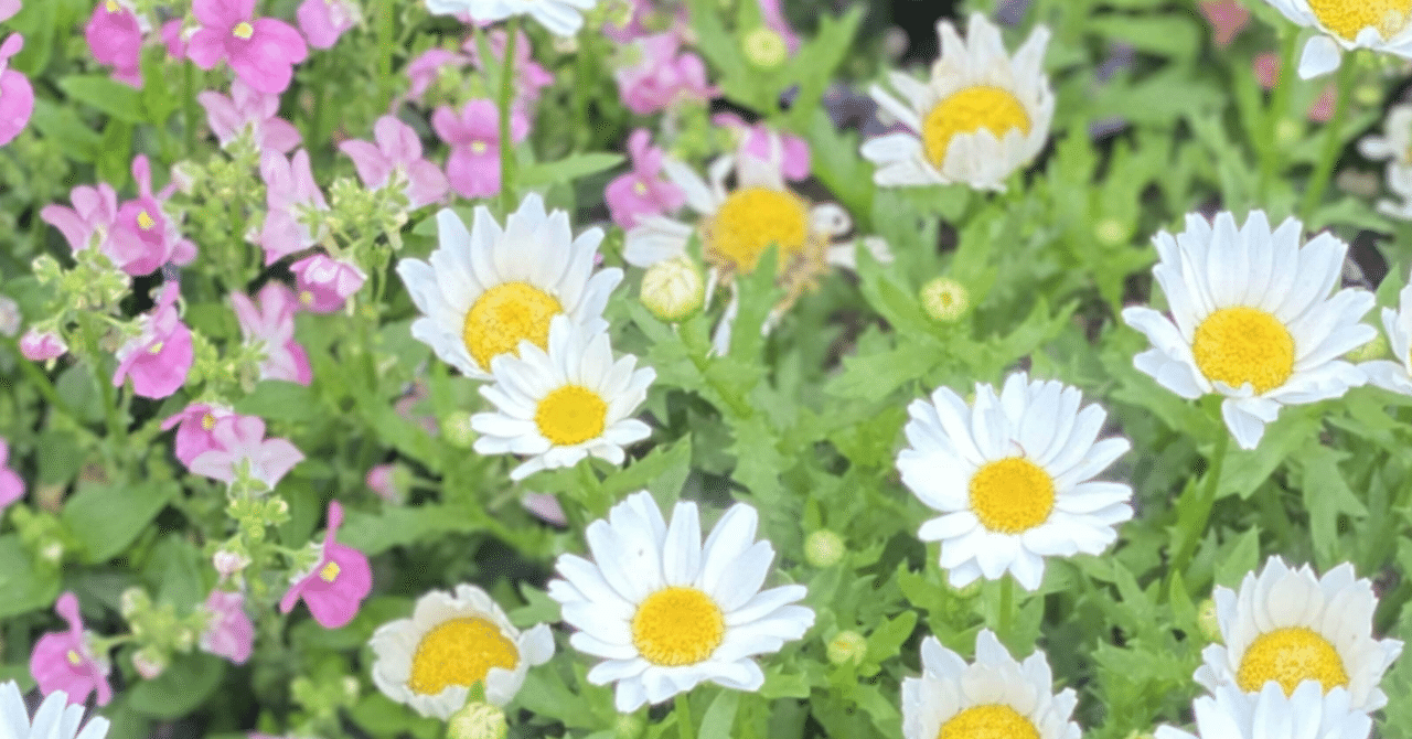 産業医のためのCarelyクラウドユーザー会を実施しました｜とねはる