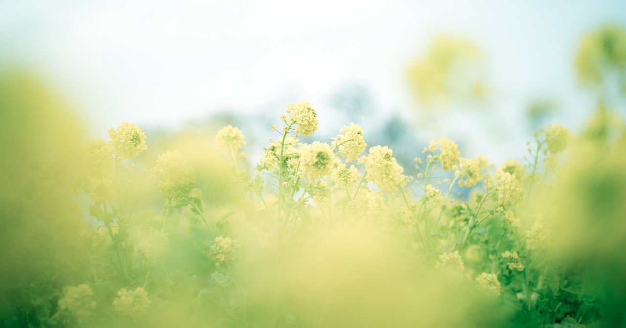 趣味のこと｜spica