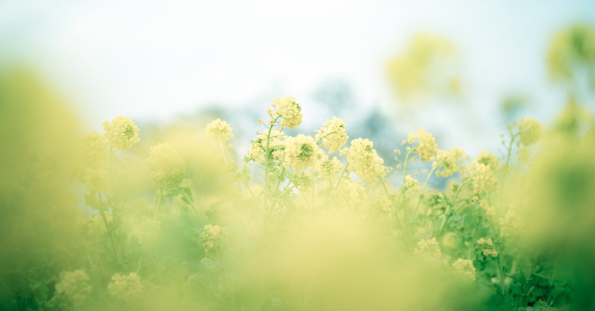 趣味のこと｜spica