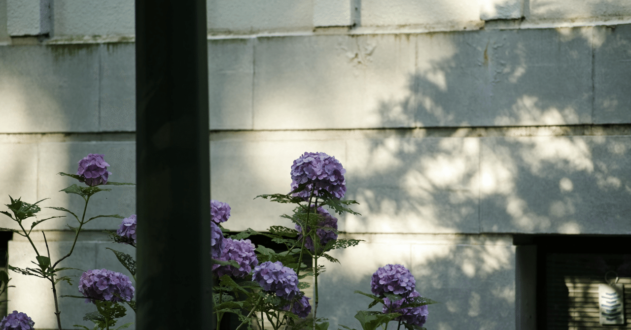 Ryosuke Matsusima｜note