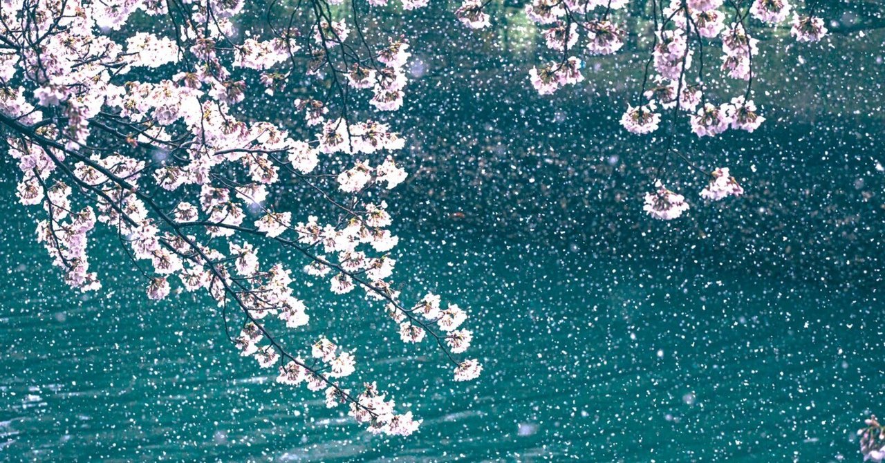 🌸7/29 下関 10R 19:47【自信度SSS】🌸｜さくら子の競艇予想🌸