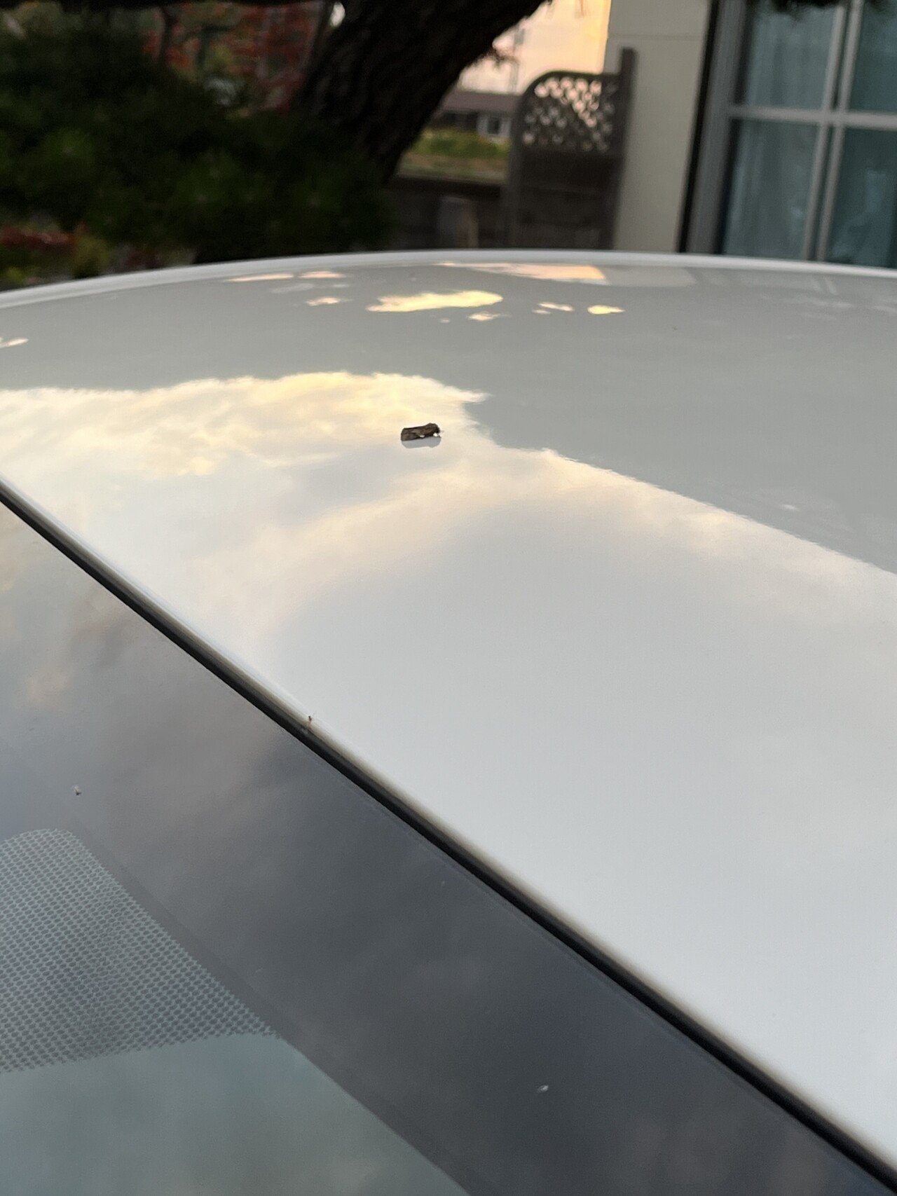 ca-ptain@農ある暮らし｜note