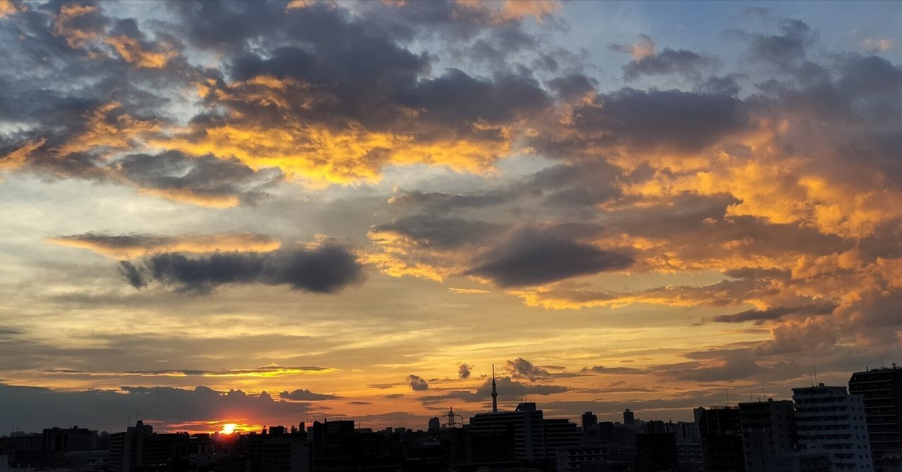 ベランダにて 2024/7/28夕｜Toru Shiratori