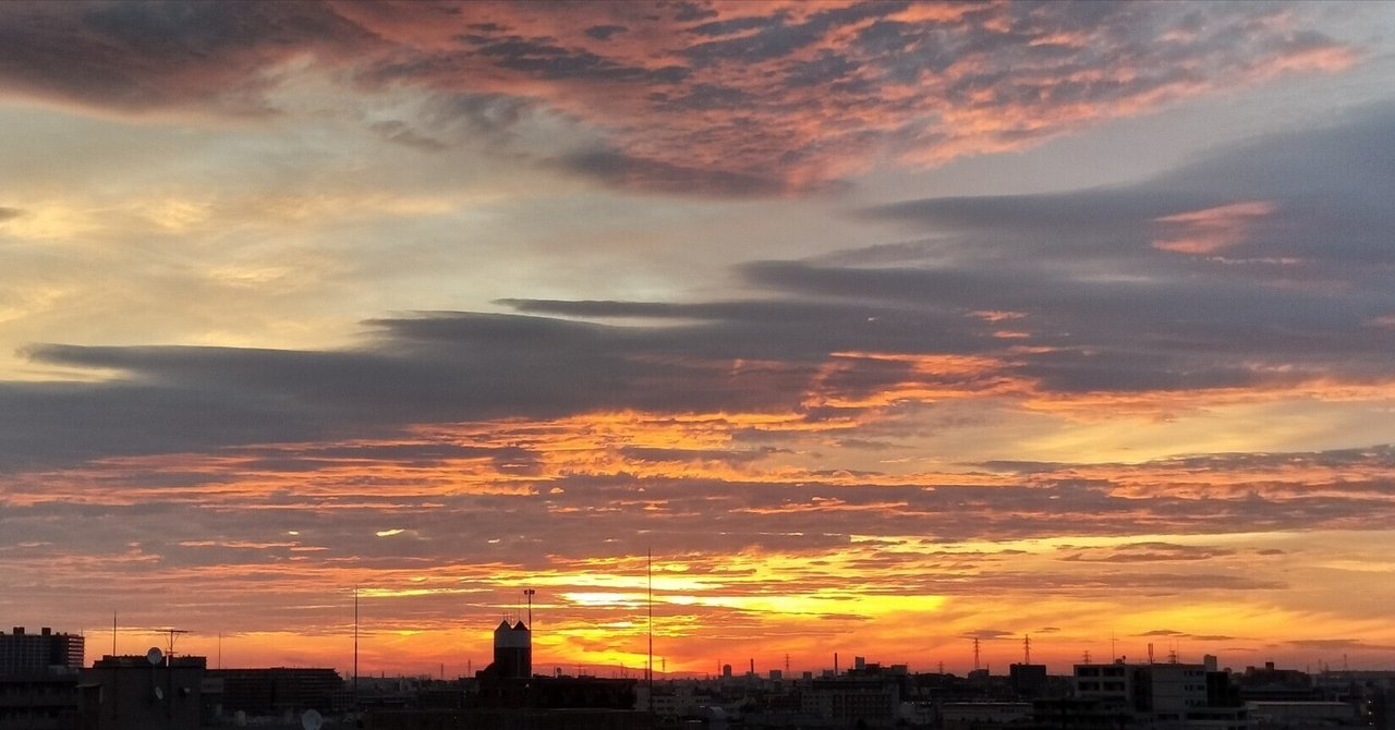 ベランダにて 2024/7/29｜Toru Shiratori