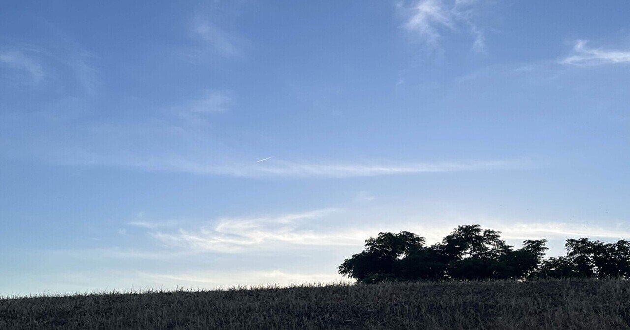 Summer breeze ｜yue