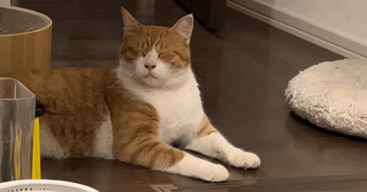 Hirolie Matsumoto ｜note