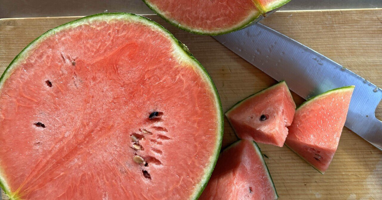 TRE®︎日誌①｜kyna miwako