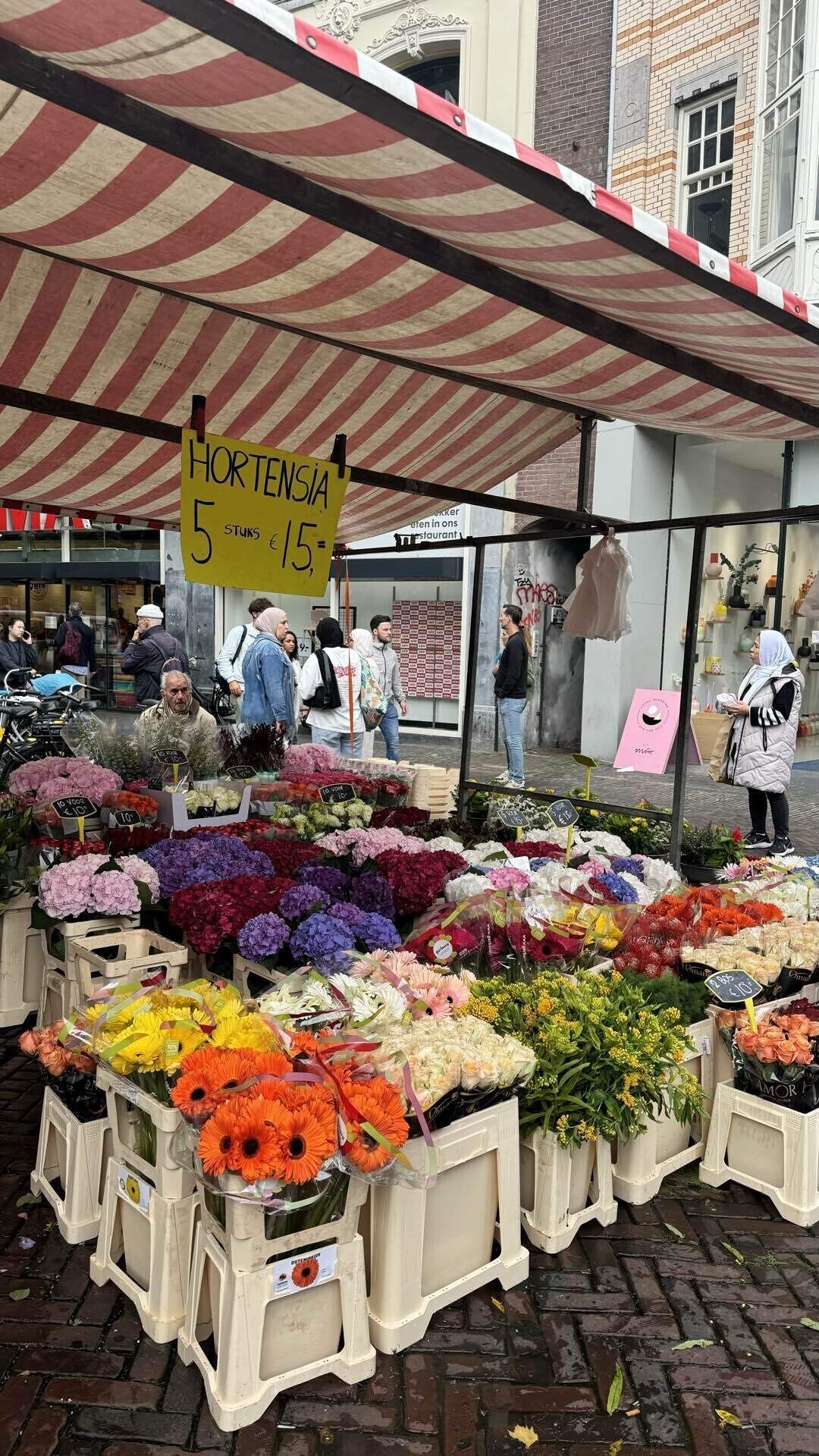 【オランダワーホリ🇳🇱】1ヶ月の振り返り(自己理解が進んだ話)｜itsuki ｜24歳オランダワーホリ🇳🇱