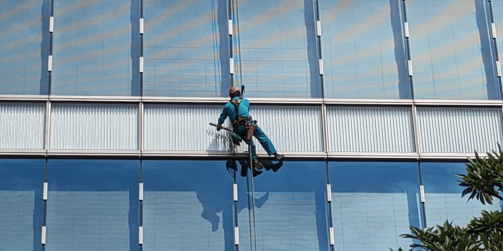 Tamaki Kawakami｜note