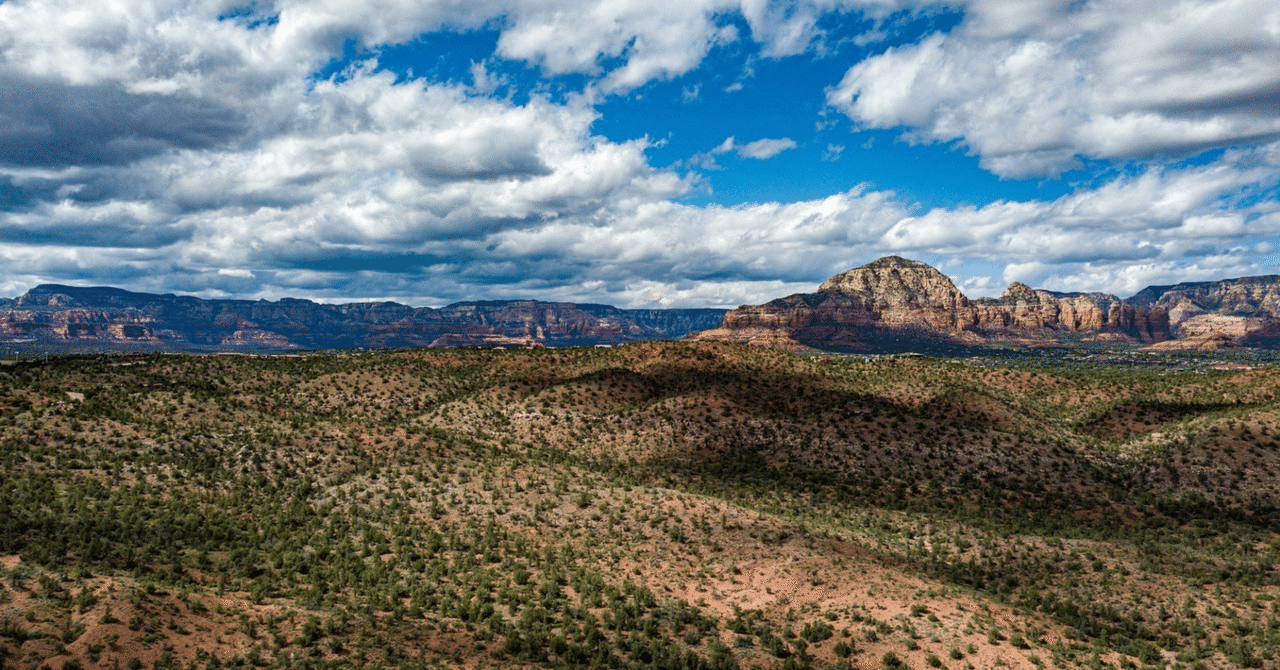 tomoko(LA在住）｜note