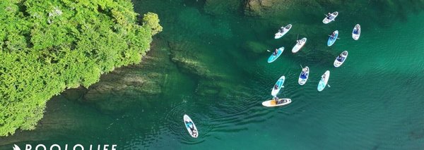 TABIPPO（タビッポ）｜note