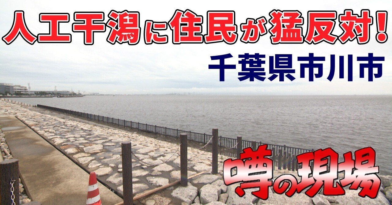 本当に必要？人工干潟に住民が猛反対！【噂の！東京マガジン「噂の現場」】｜BS-TBSの公式note