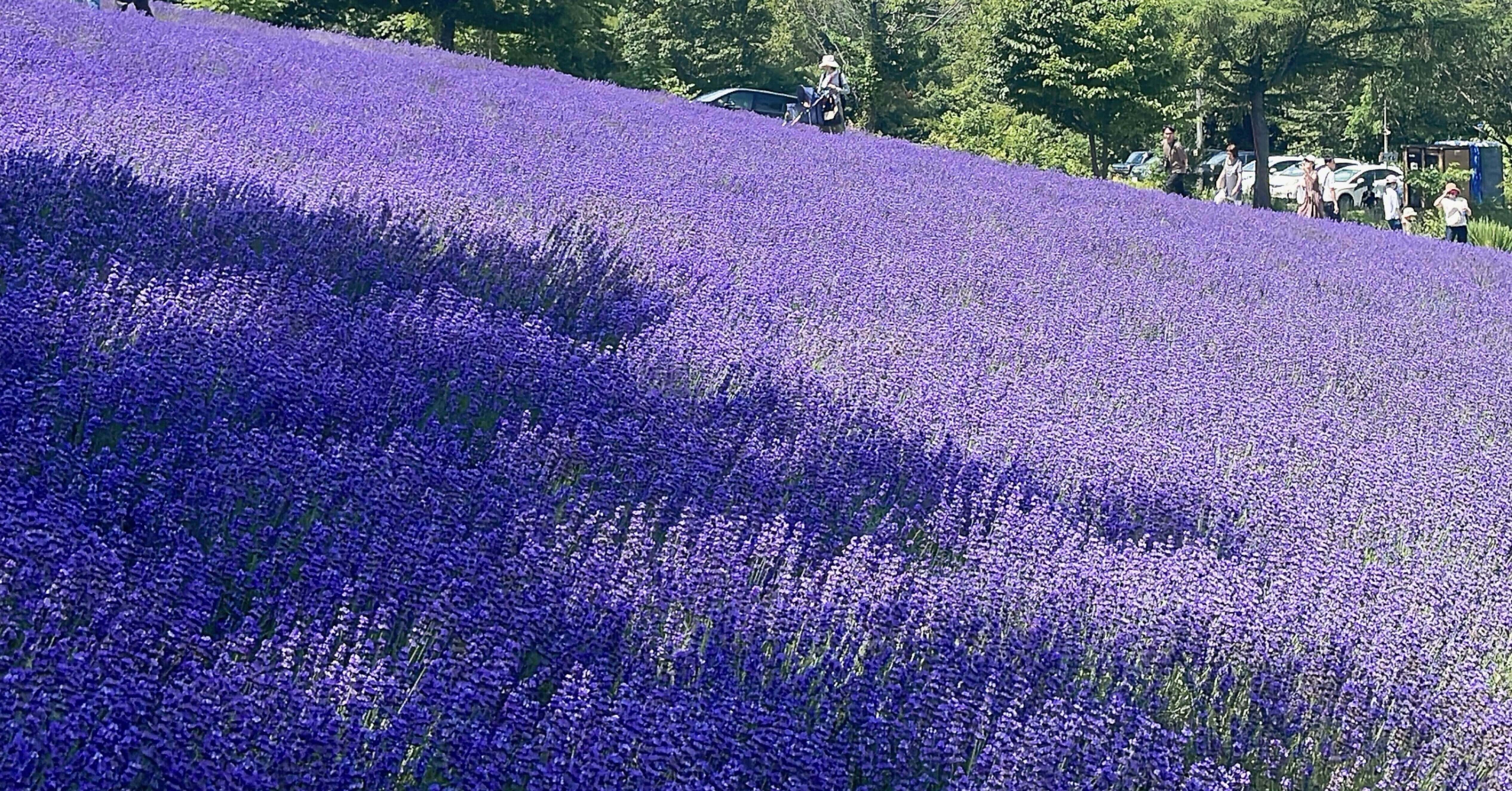 muuko（むーこ）｜note