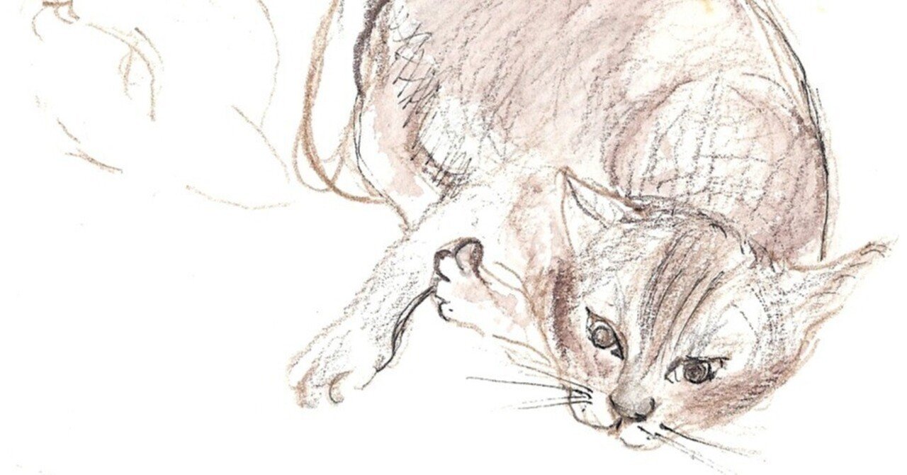 仁吾巴 妍 niaha ken｜note