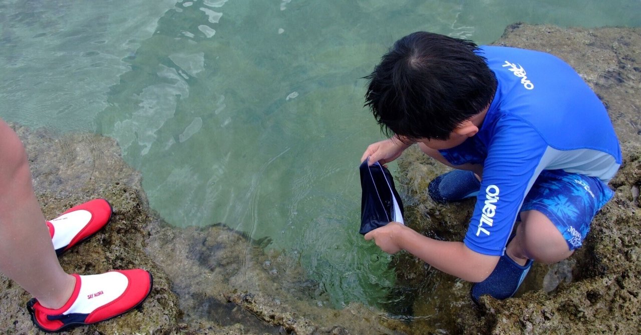 真夏 純 Jun Manatsu｜note