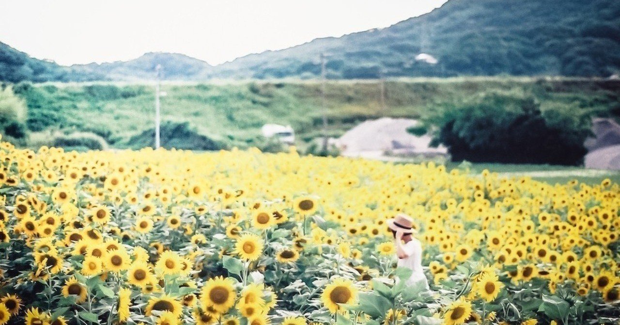 だからこそ、言葉が、必要だ。｜北村有 Kitamura_yu｜note