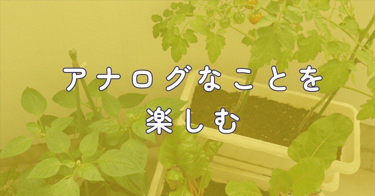 アナログなことを楽しむ｜DSCL Inc. 株式会社デスケル
