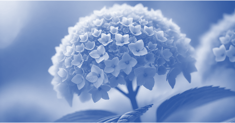 Hiroko Kawakami｜note