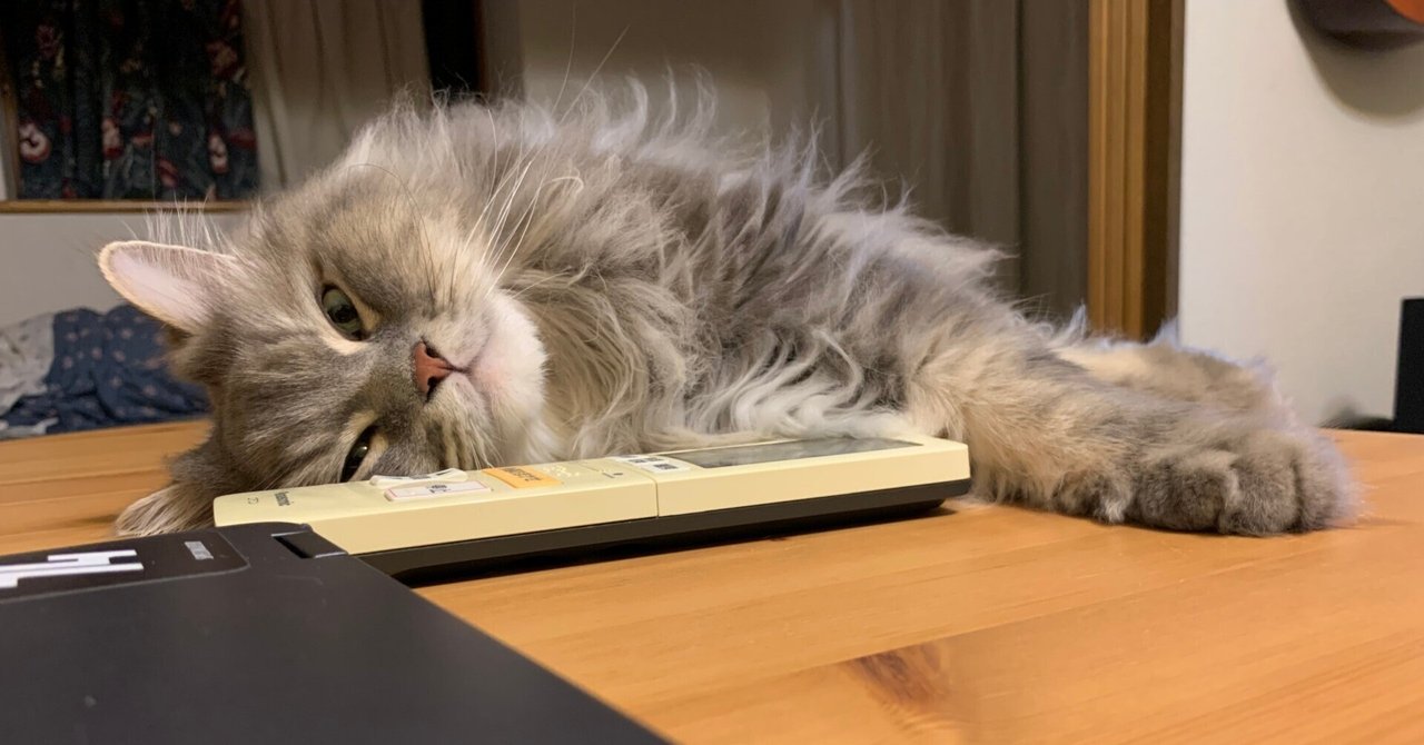 辞めたパート先にはとにかく感謝だし、辞めても大好きです！｜しょうまる