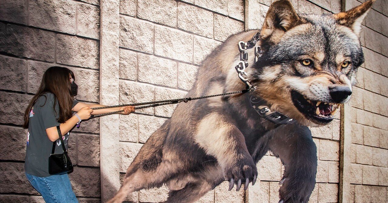 認知バイアスがもたらすショート動画の視聴獲得競争｜sesame MEDIA