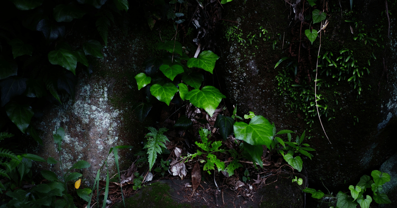 Ryosuke Matsusima｜note