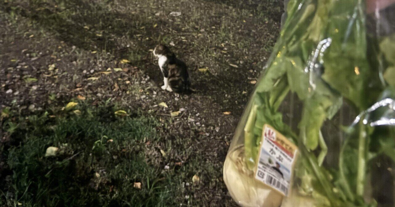 0802-0803の日記 ｜ぶらっくこーひー