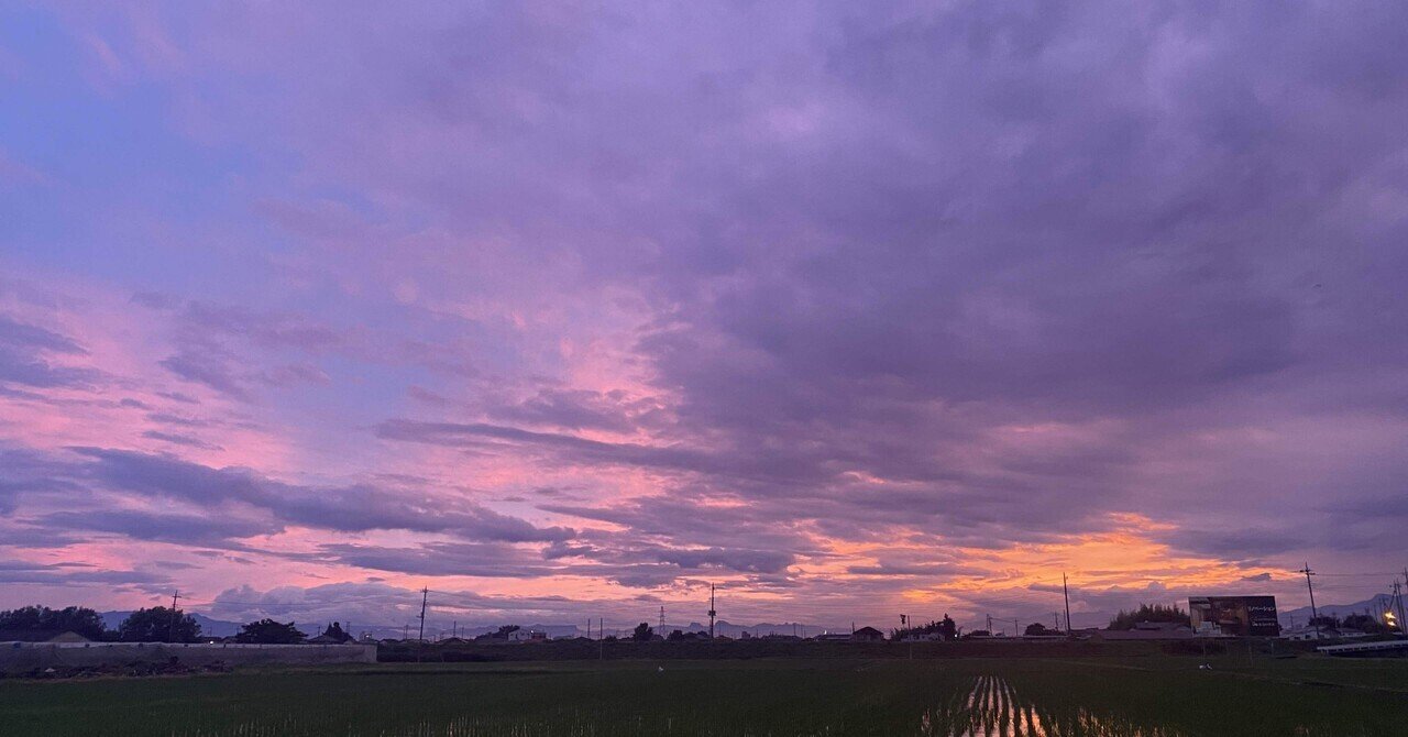 2024/08/03 ぐちゃぐちゃ限界｜Pf_tacos