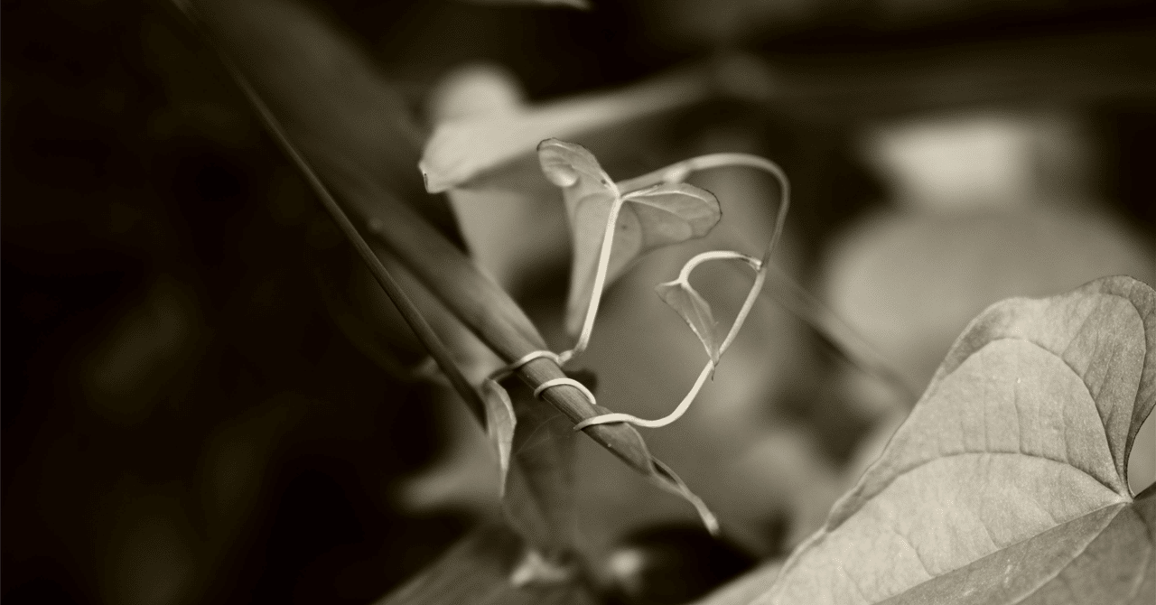 Re: Dries Van Notenに行ってきました。｜yns