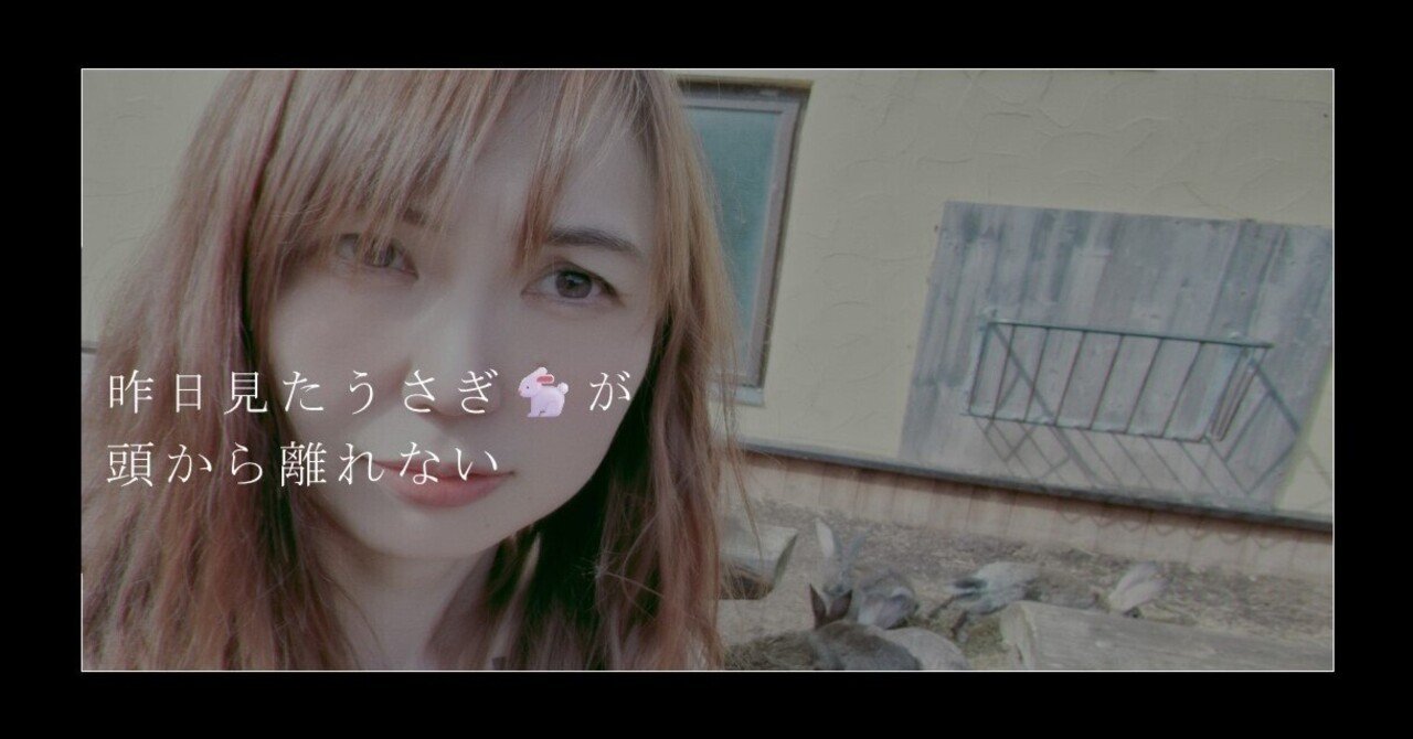 園田順子（Junko Sonoda）｜note