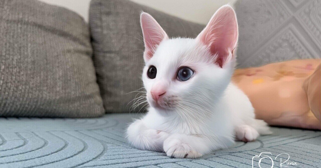 脳出血〜夫に話しておきたかったこと｜Salvatore 桃華 Akemi