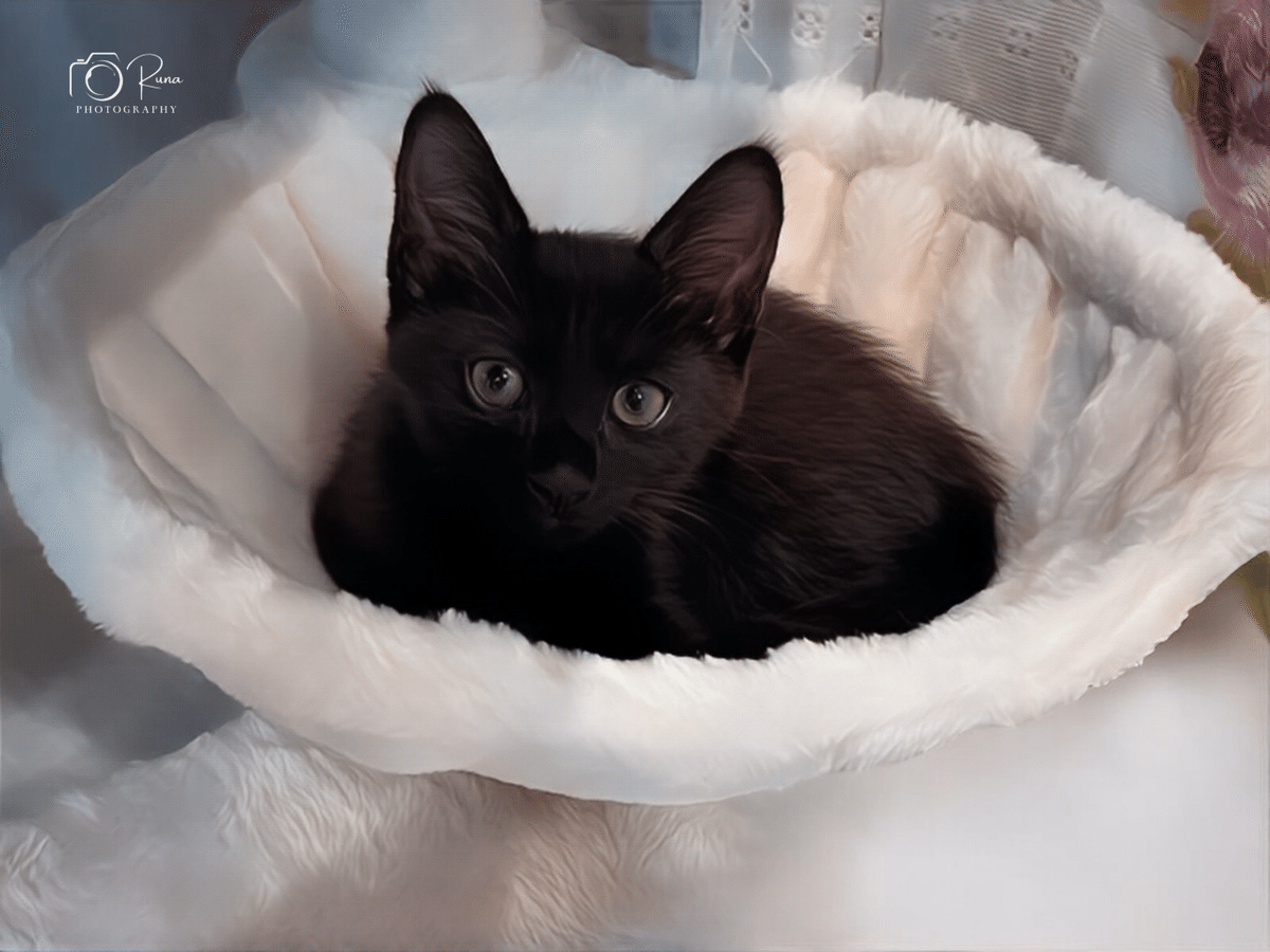 脳出血〜夫に話しておきたかったこと｜Salvatore 桃華 Akemi