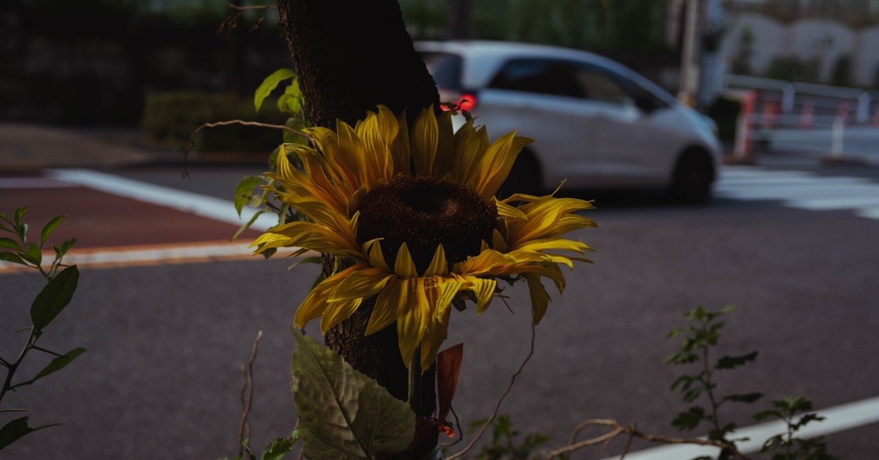 夏の散歩｜manimanium