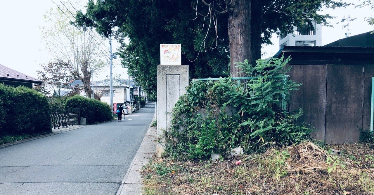 本と雨、道と紳士。｜daisuke gunji