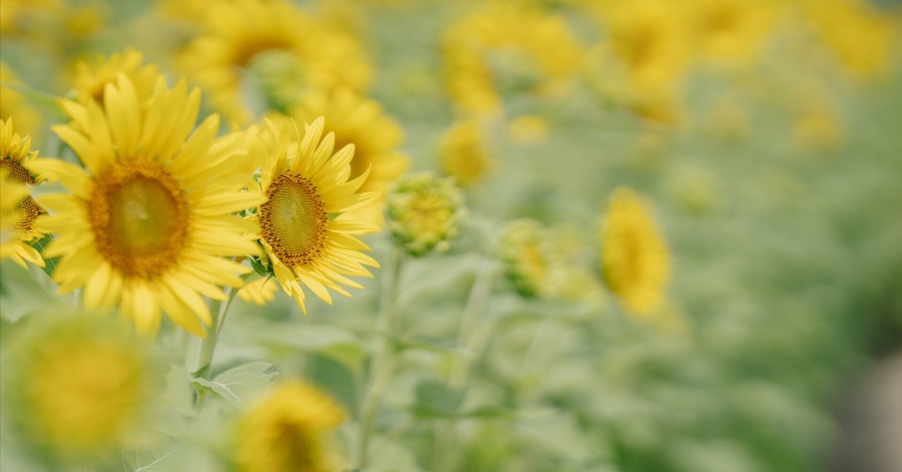 「辛かった」こと｜Uchida_0831