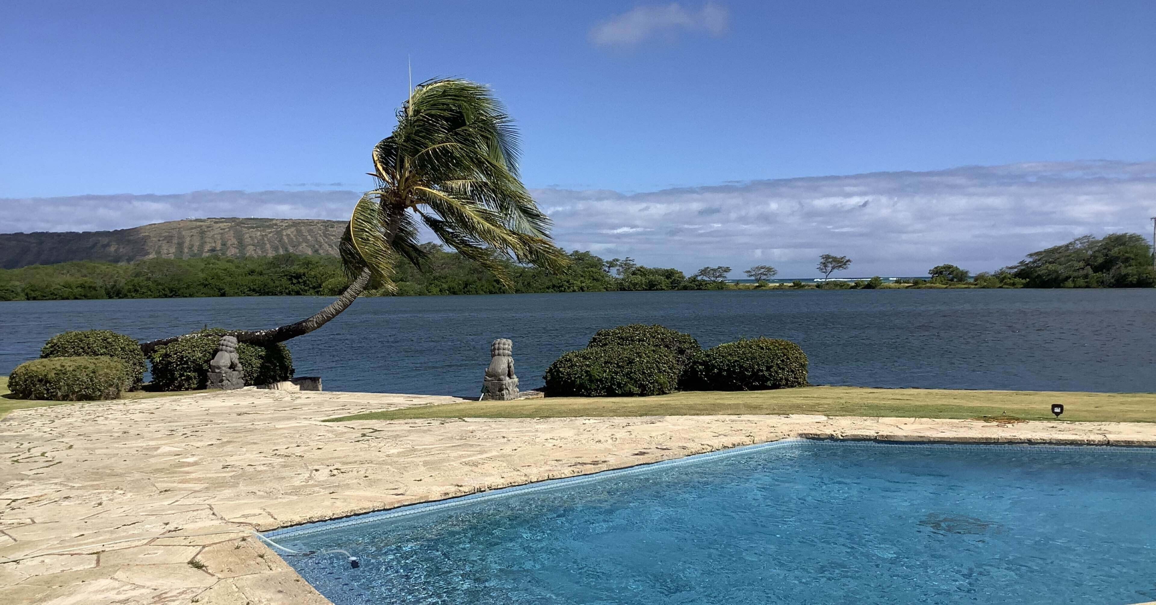 Yasuda Shuichi｜note