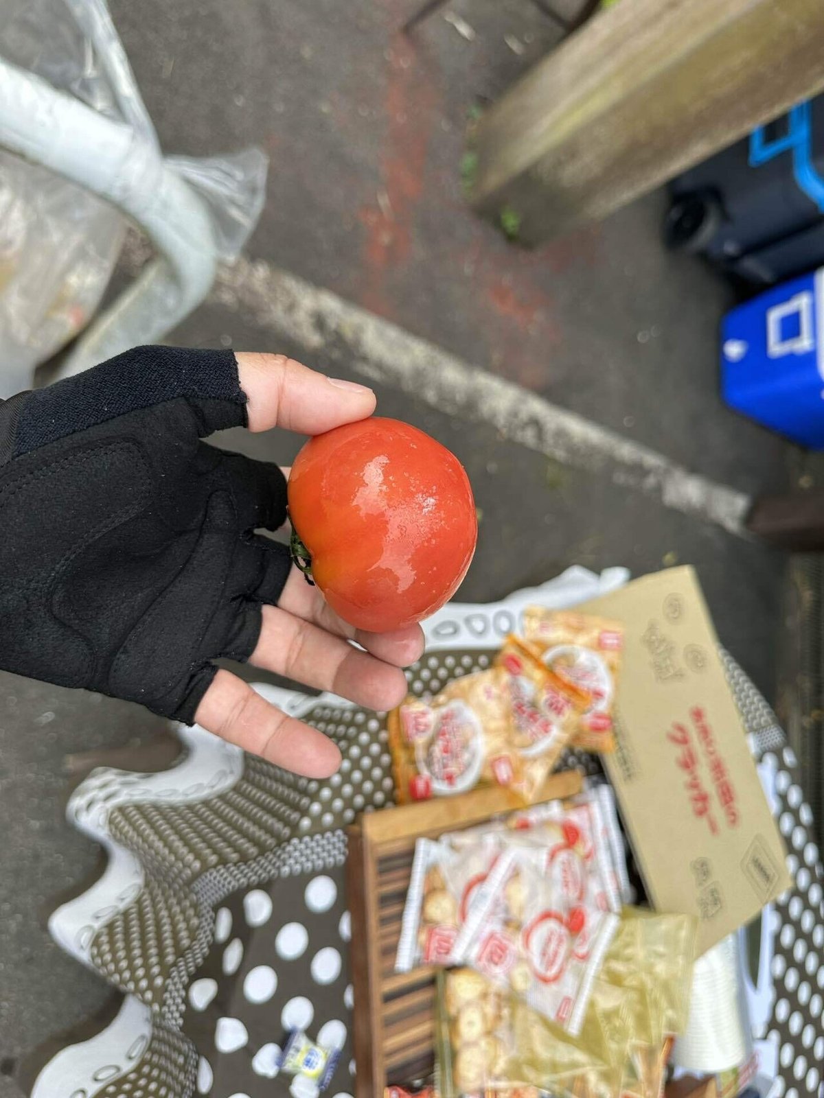 2024.8.3-4 Attack!299｜Kazufumi Miyata